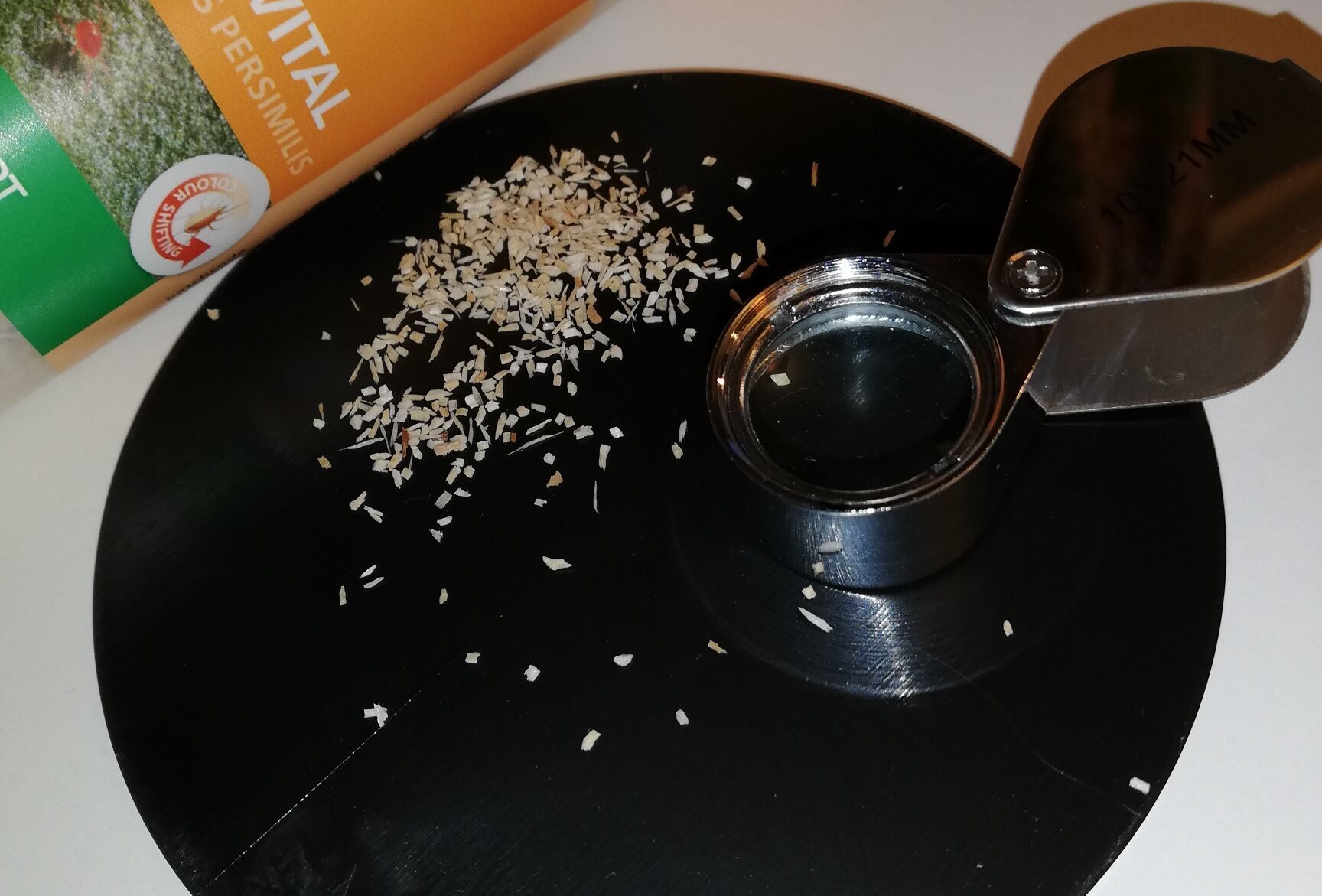 Spidex Vital® sets new standards in spider control | Koppert UK