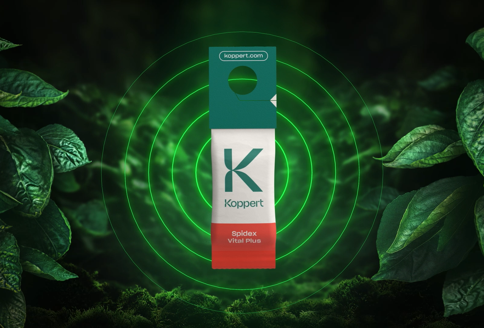 Spidex Vital Plus – Effective spider mite control in a sachet | Koppert UK