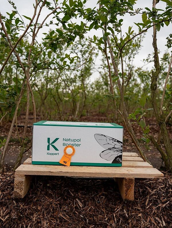 Outdoor Crops Pollination Advice - Bumblebee Best Practices