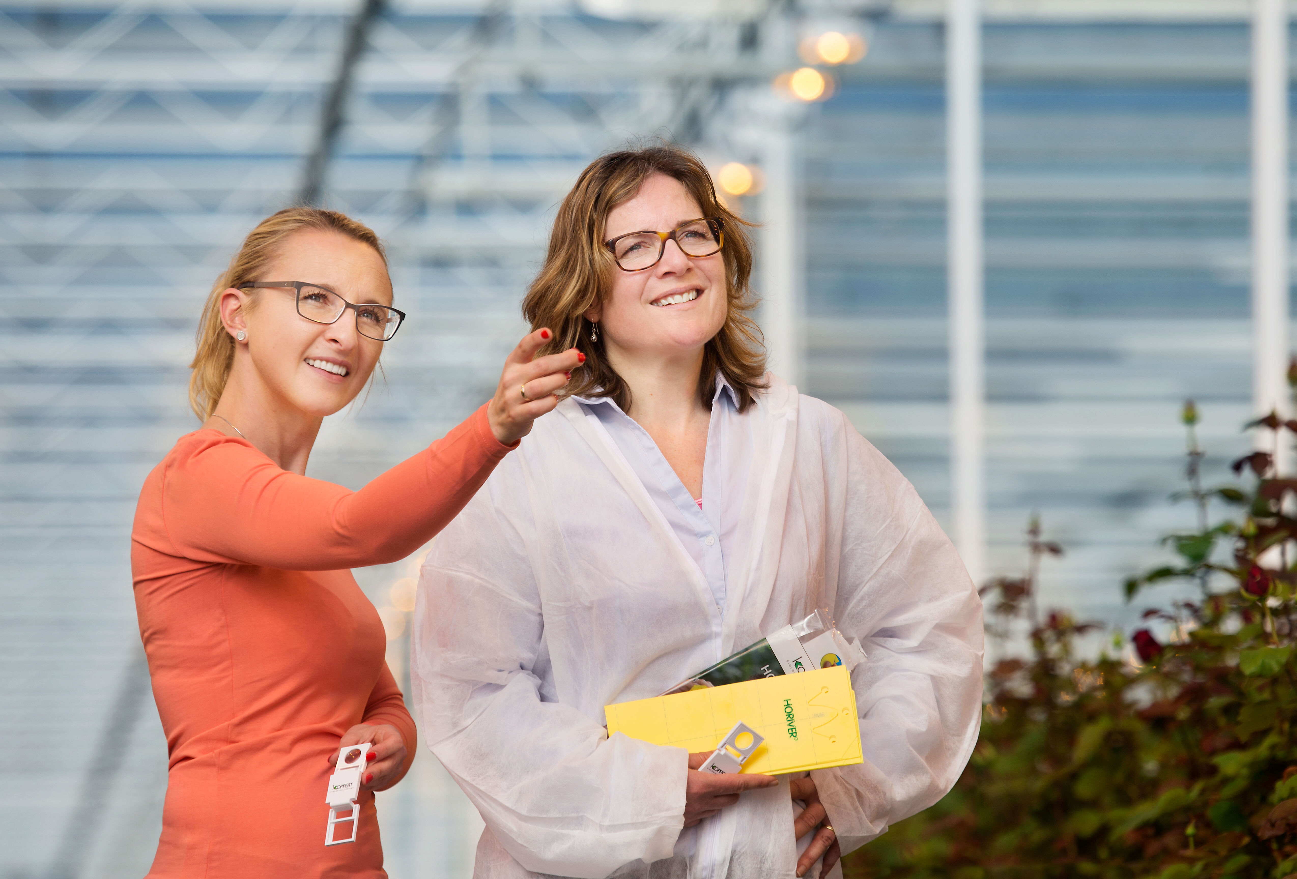 Find your expert | Koppert UK
