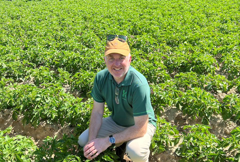 Richard Binks | Koppert UK